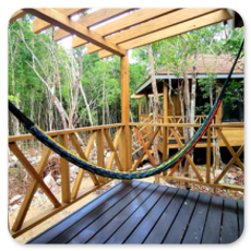 Energy Tulum - Energy Tulum