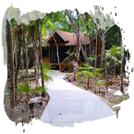 Energy Tulum - Energy Tulum